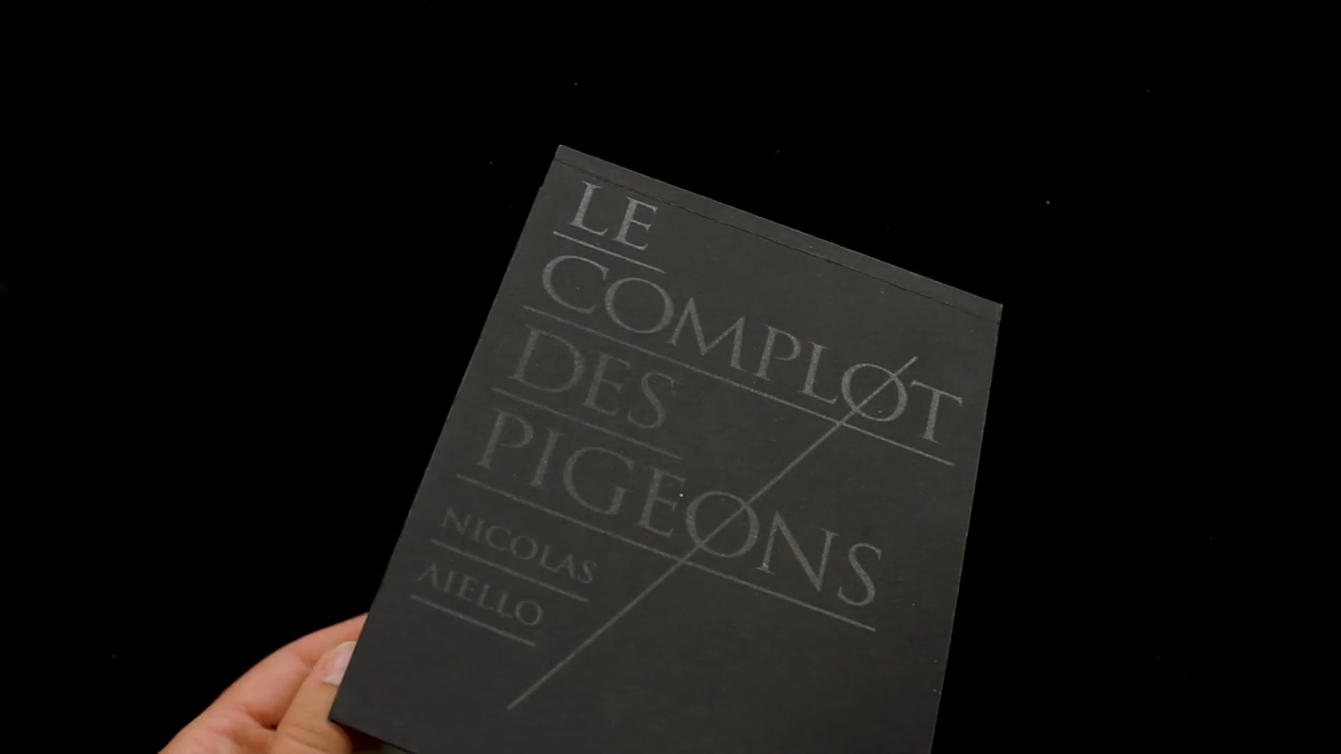 Le complot des pigeons on Vimeo