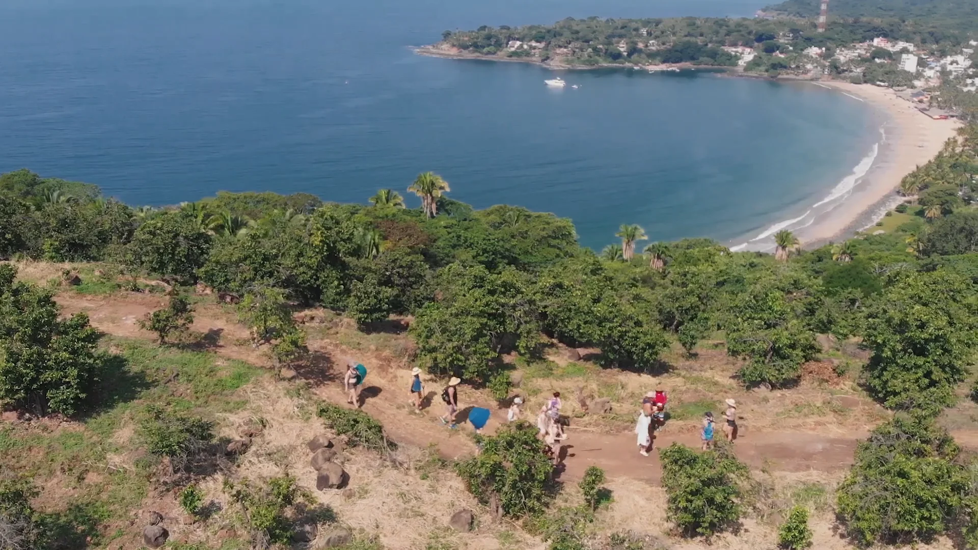 Abbott The Red Adventures Autumn 2019 (short version) on Vimeo