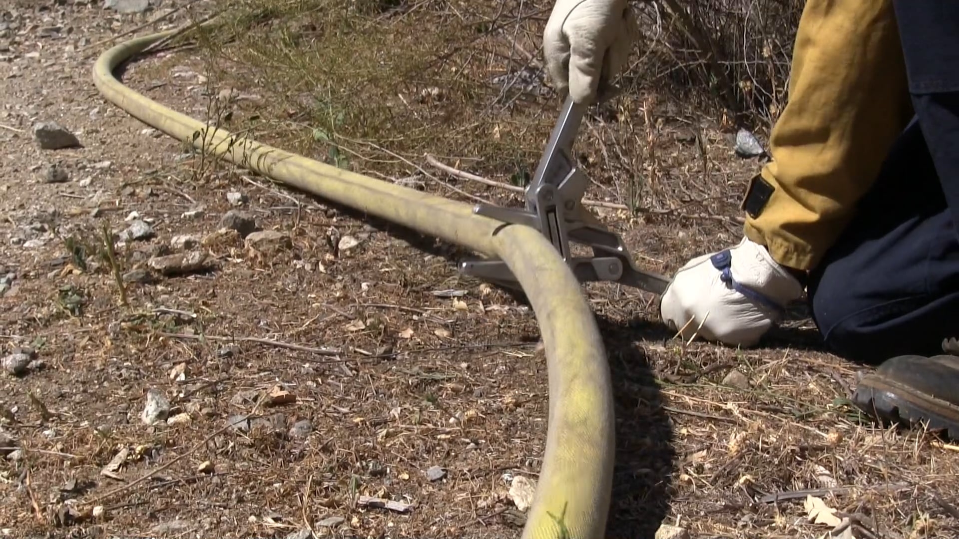 Progressive Hose Lay on Vimeo