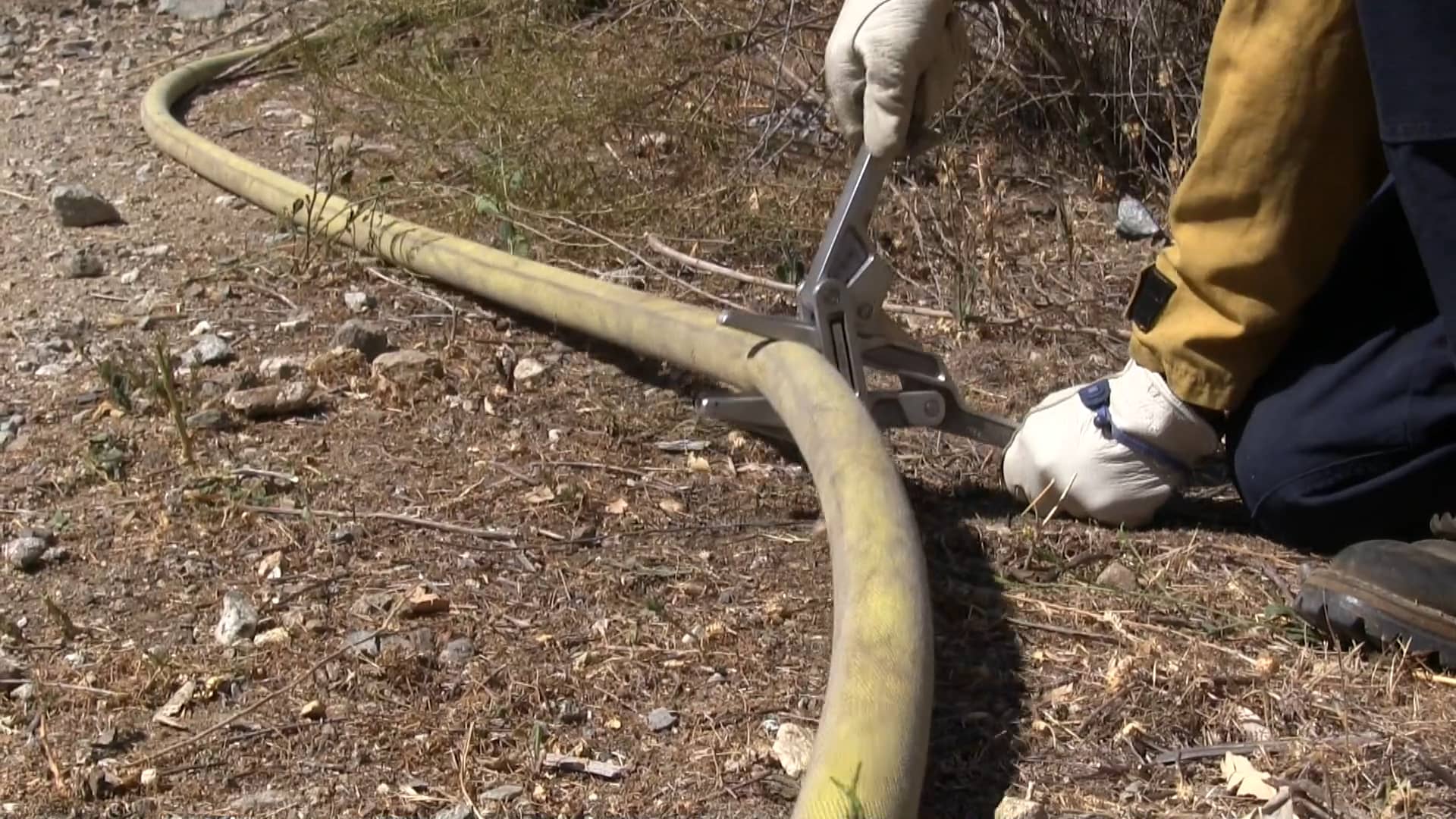 Progressive Hose Lay on Vimeo