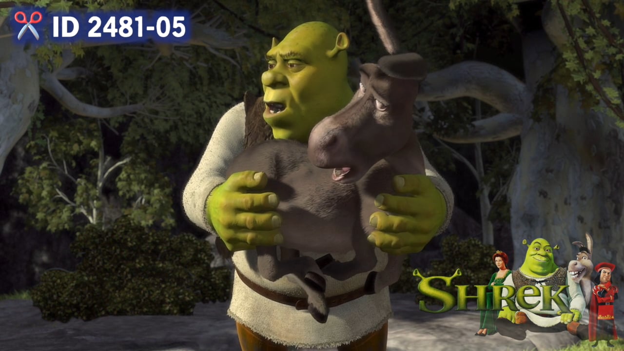 Shrek_2481-05G_Hold-the-phone on Vimeo