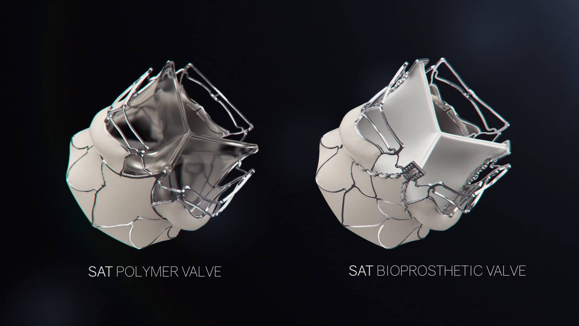 SAT_Valve_Polymer_2020_v07 on Vimeo