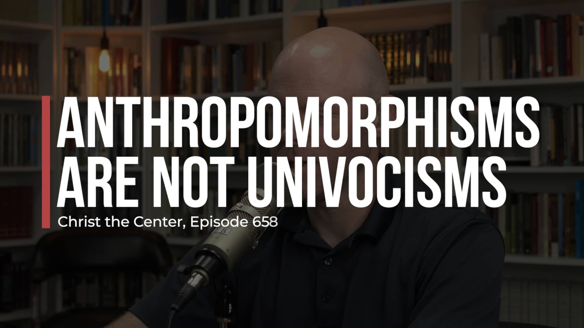 Anthropomorphic Language Is Not Univocal Language on Vimeo