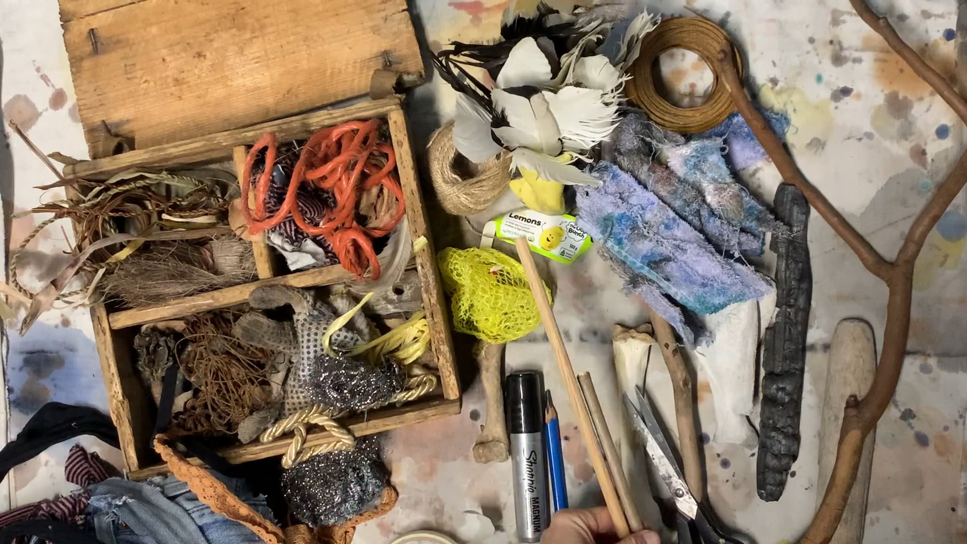 Jody Graham - Expressive Portraits - Video 3 on Vimeo
