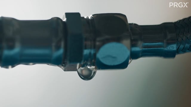 Recovery Audits, Prevention & Analytics - PRGX