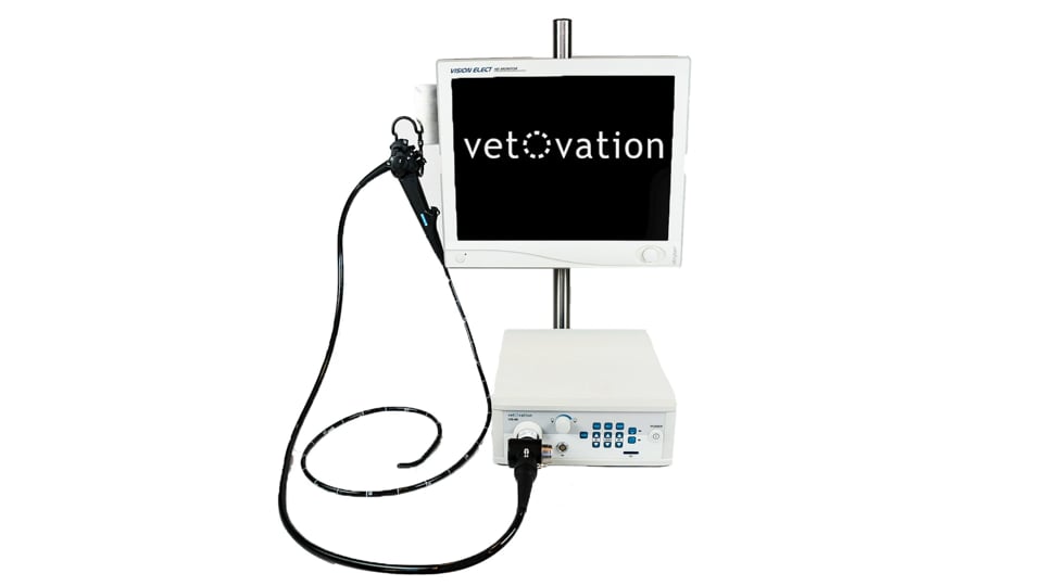 Veterinary Endoscopy System | Towers & Equipment | VetOvation