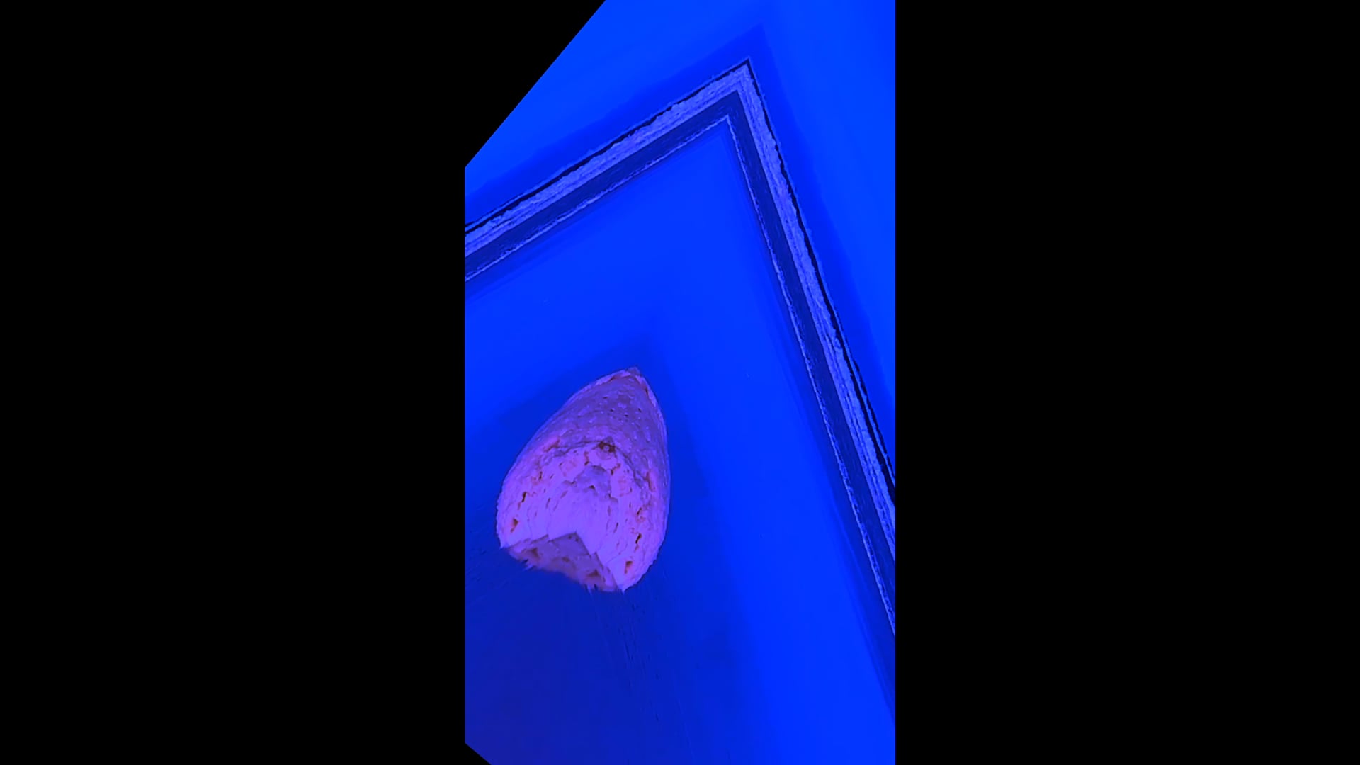 brain on Vimeo