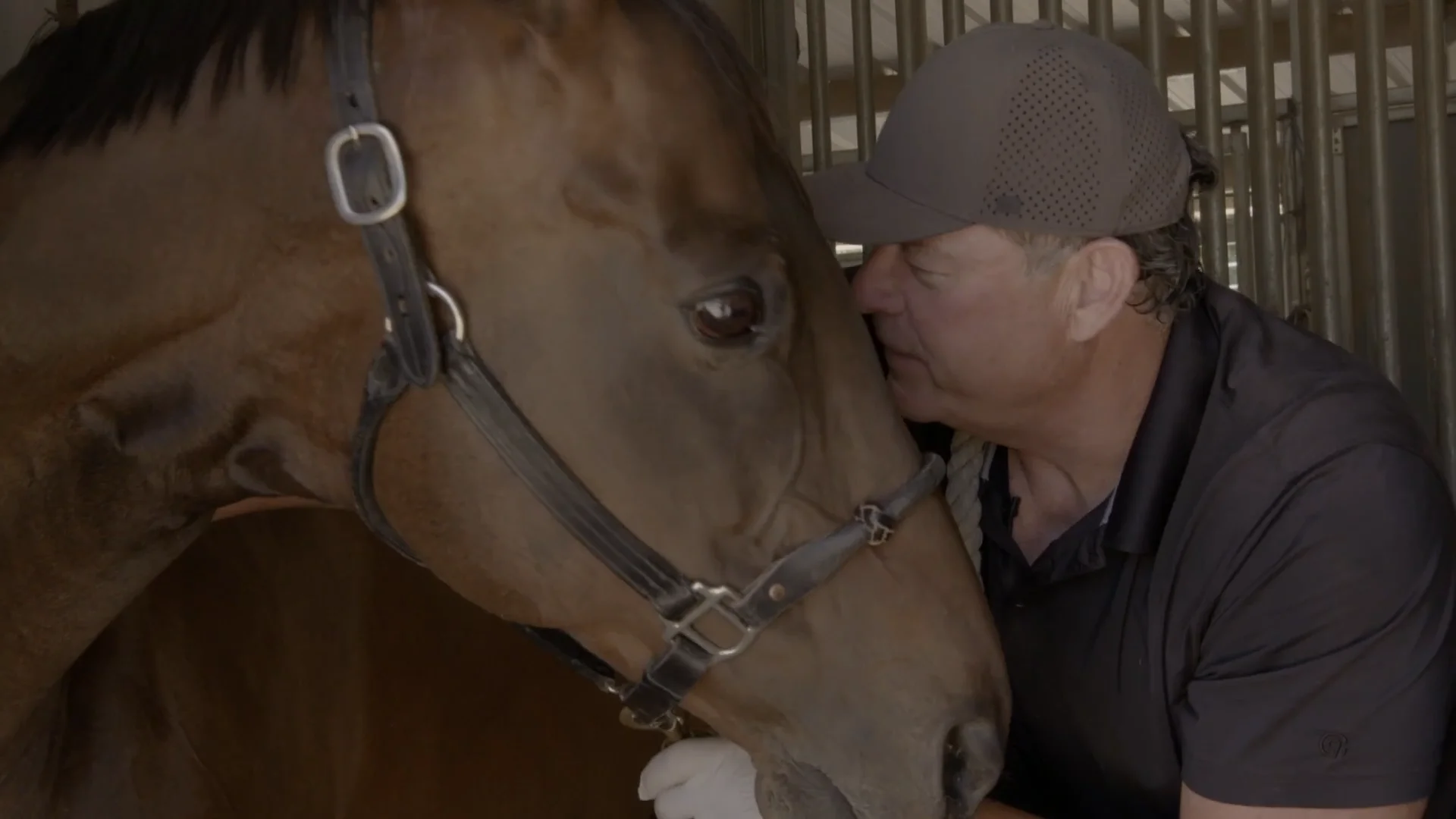 Dr.Jeff Schafer_The Horse Chiropractor on Vimeo