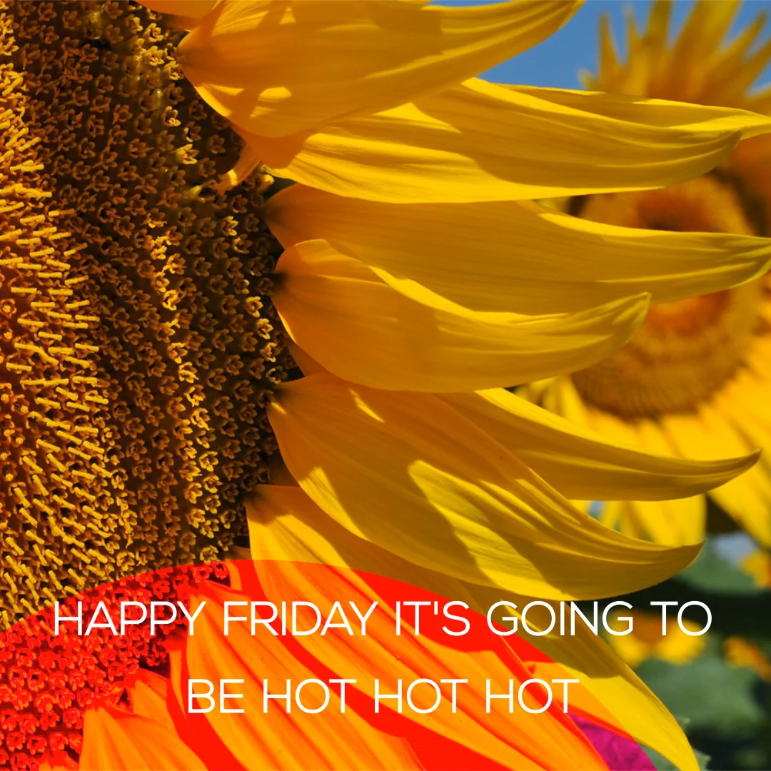 It's going to be a Friday Heatwave. Take care out there evryone and try ...