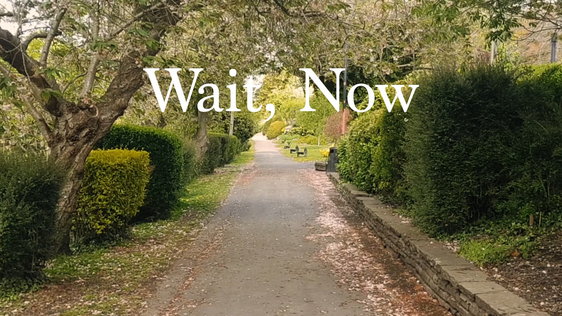 Wait, Now on Vimeo