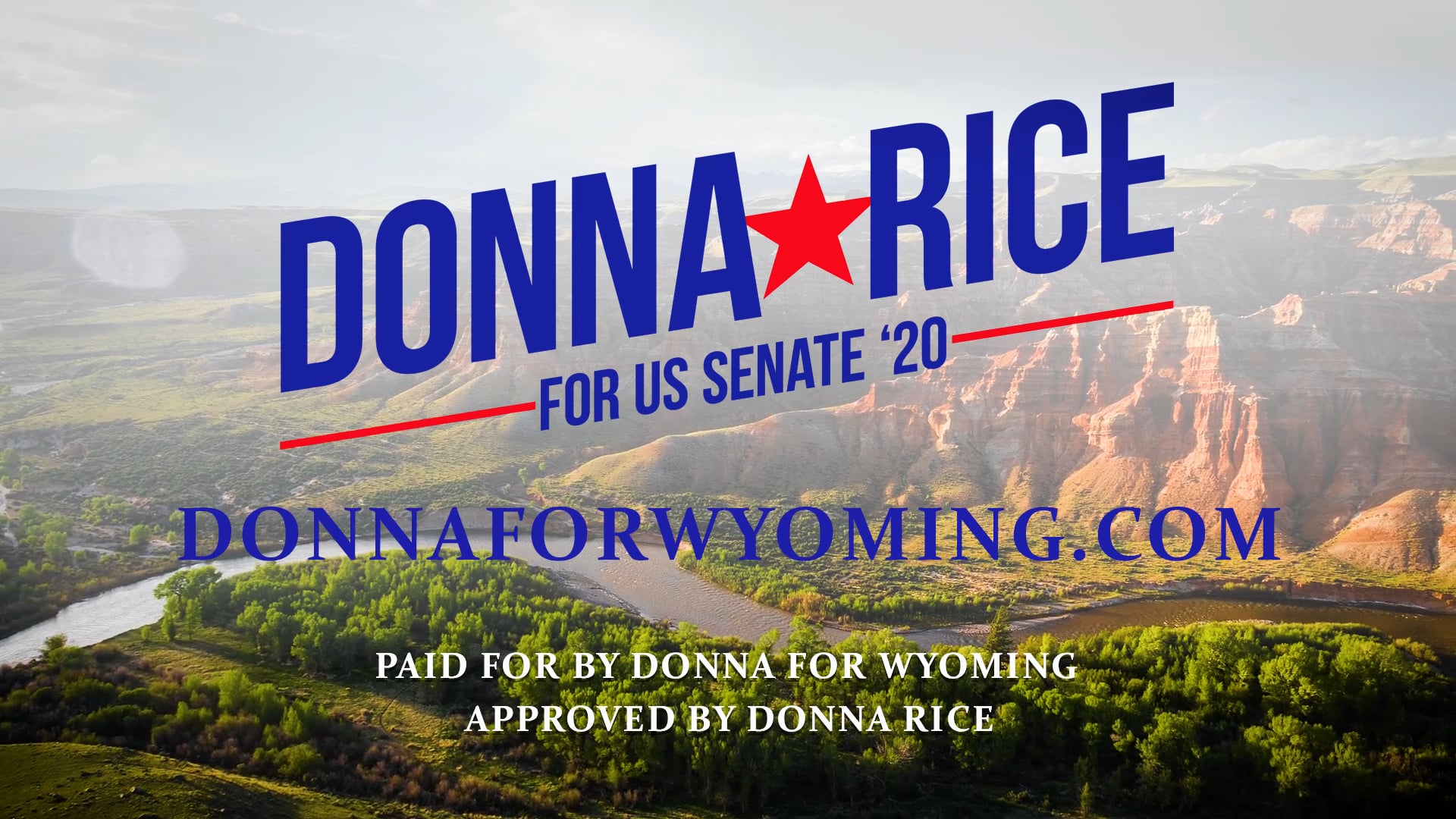 Introducing Donna Rice - Candidate for U. S. Senate on Vimeo
