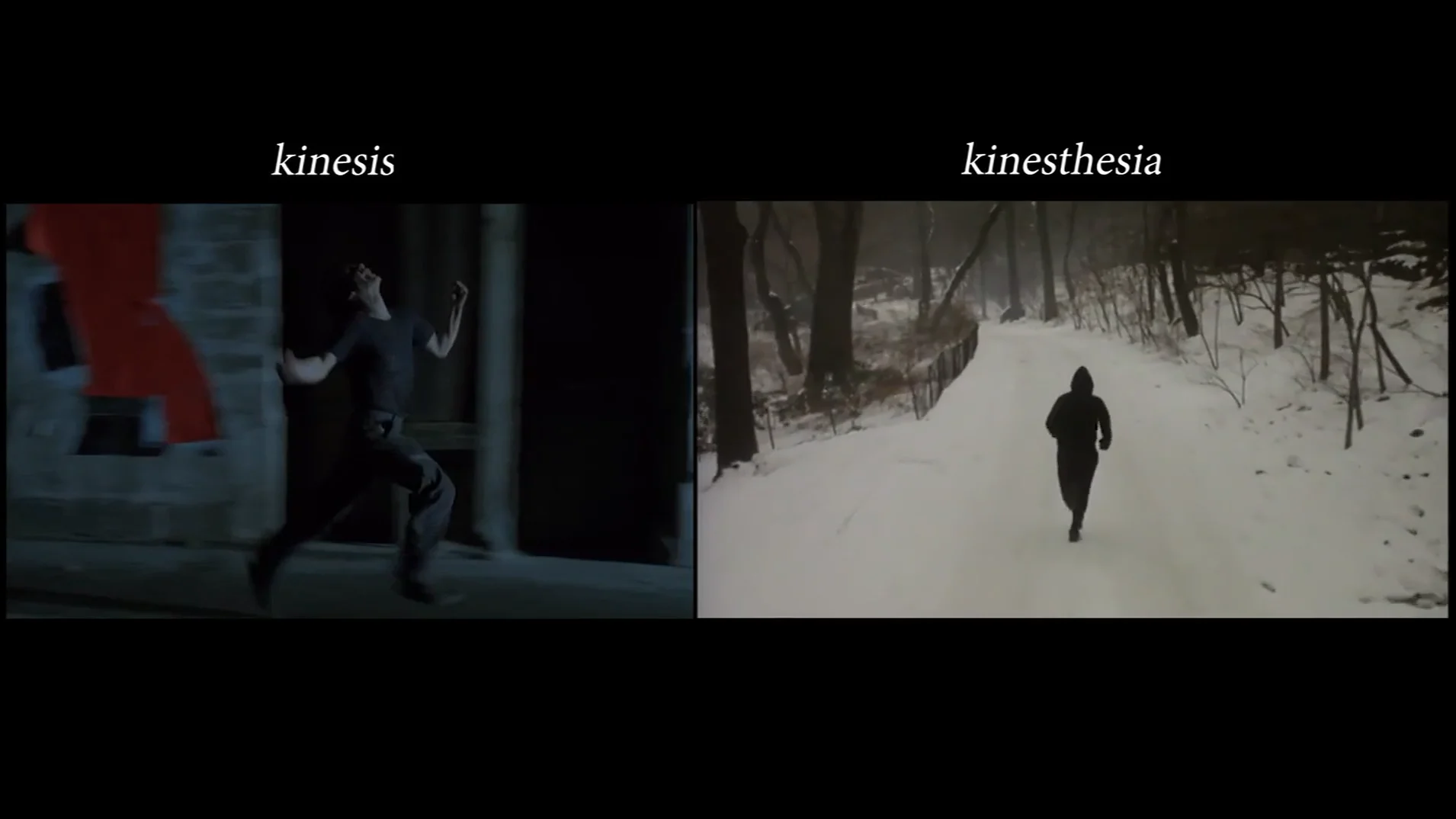 The Phenomenology of Lateral Camera Movement