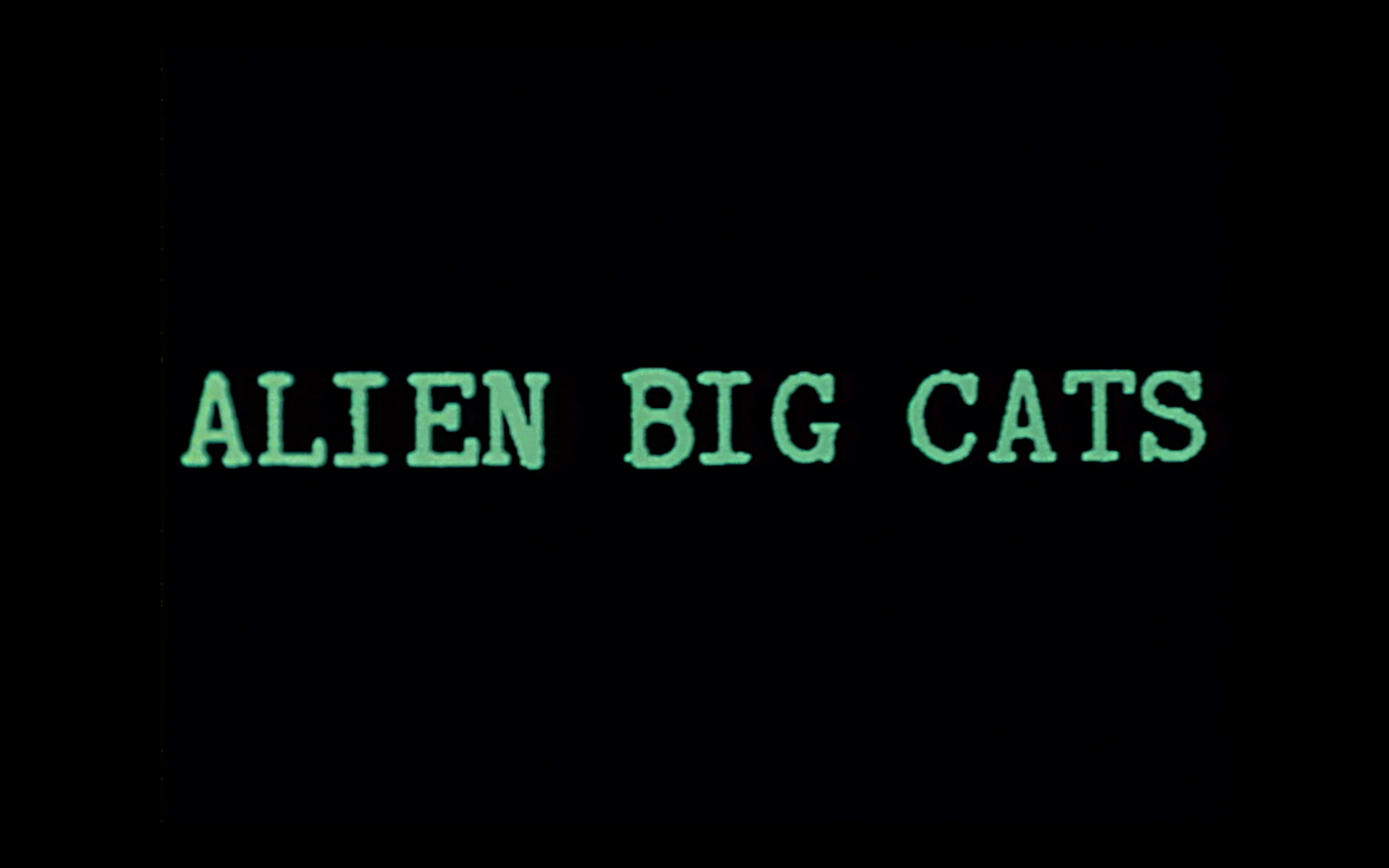 Watch Alien Big Cats - The original film Online | Vimeo On Demand on Vimeo