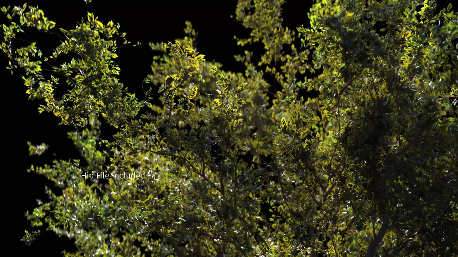 Tree Grow Toolkit for Houdini | GrowInfinite 1.0 Released! on Vimeo