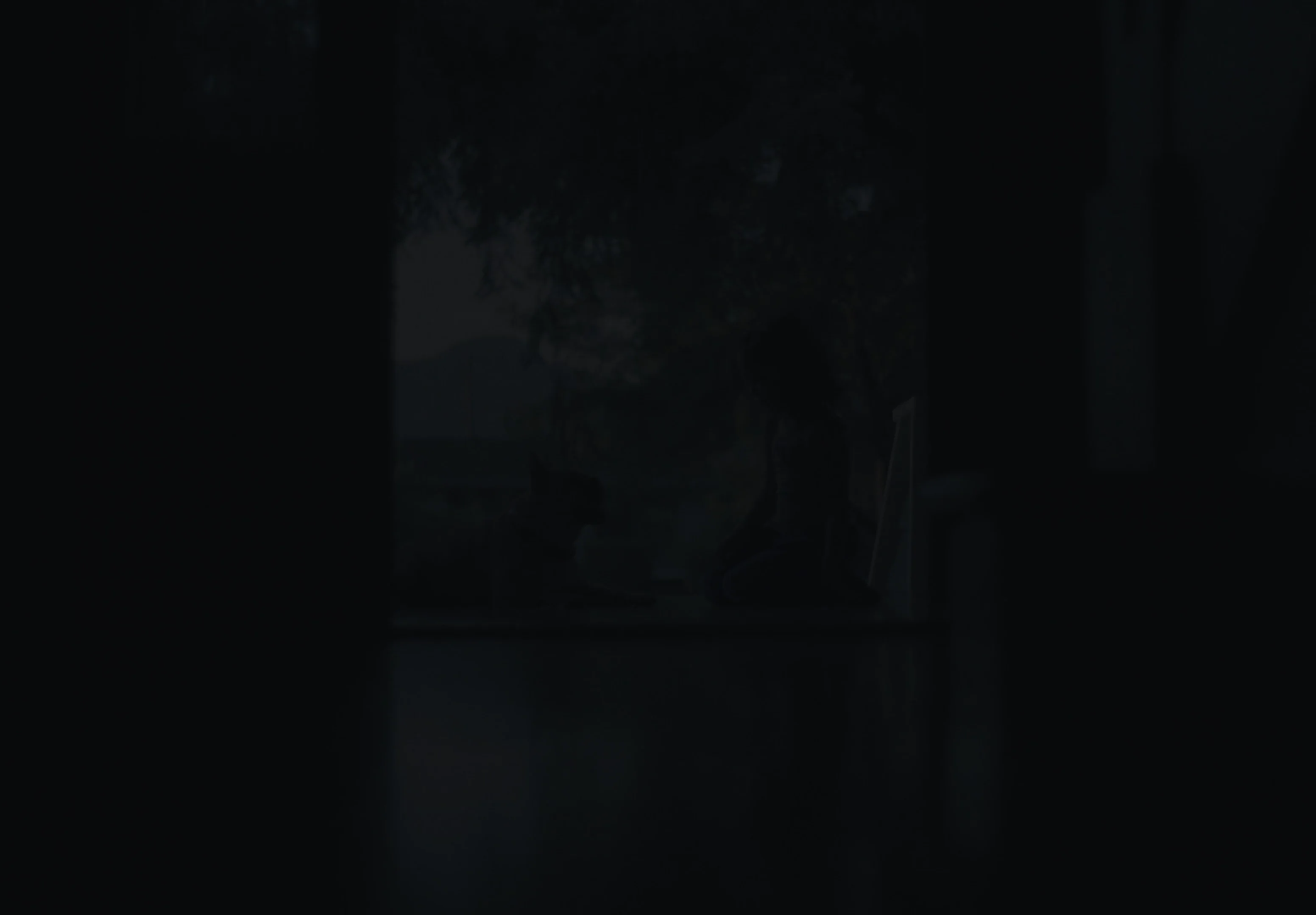 Google on Vimeo