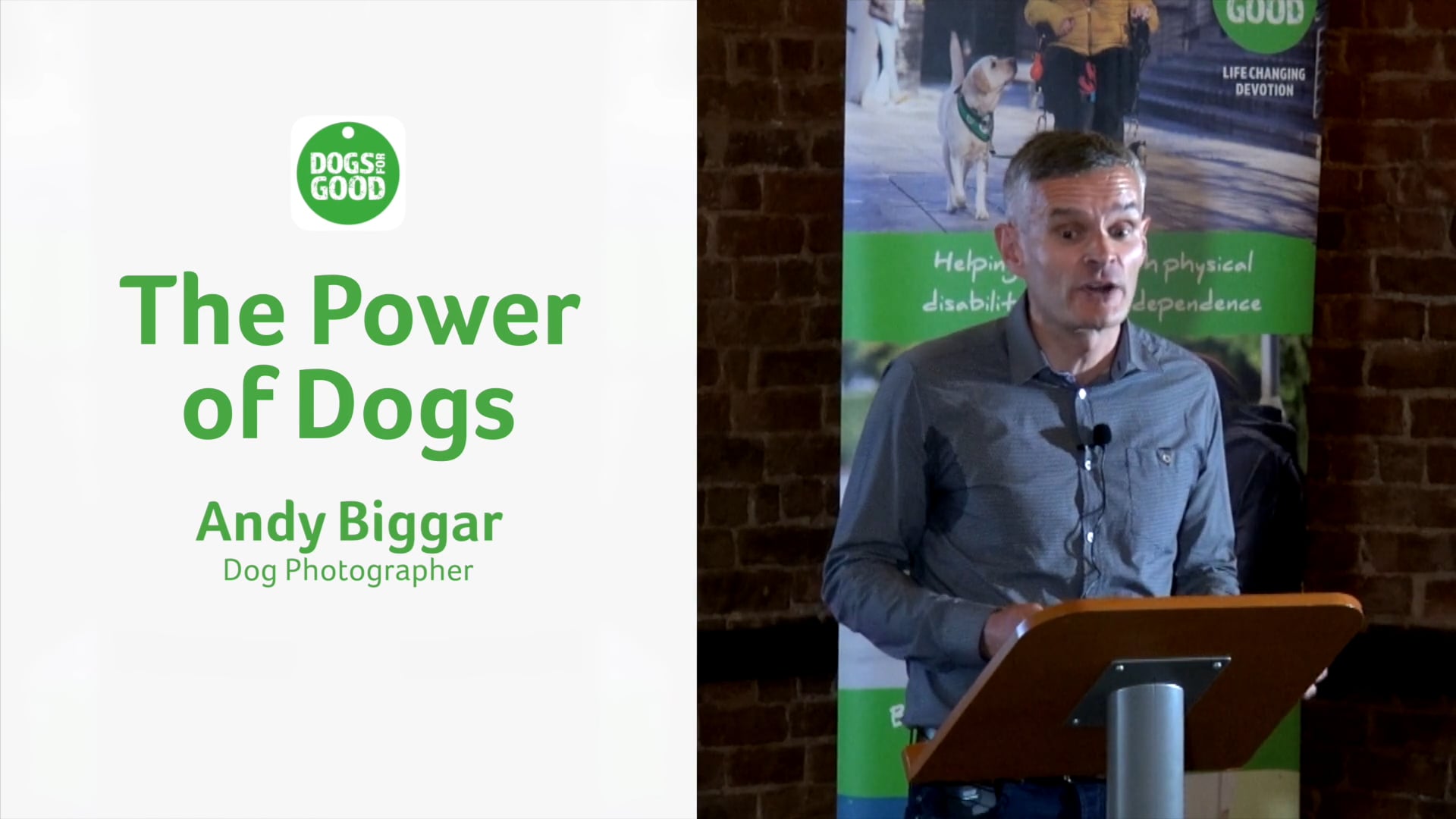 Leading UK dog photographer Andy Biggar at Power of Dogs 2019 in ...