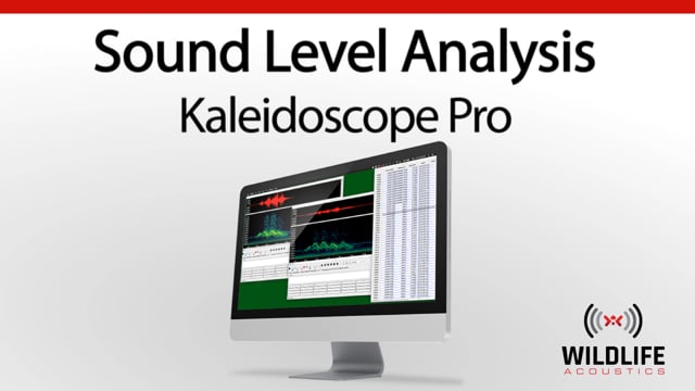Kaleidoscope Pro Analysis Software Wildlife Acoustics, 40% OFF