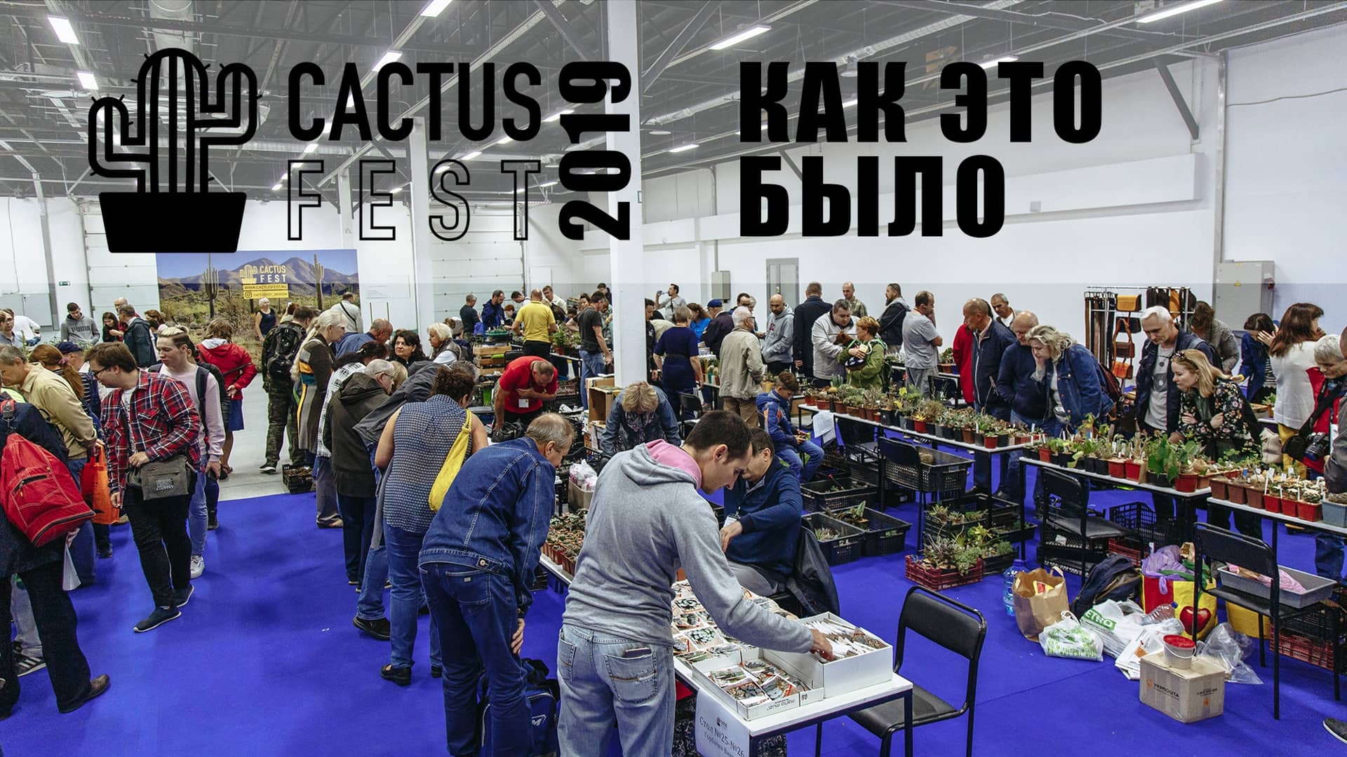 CACTUS FEST 2019 on Vimeo