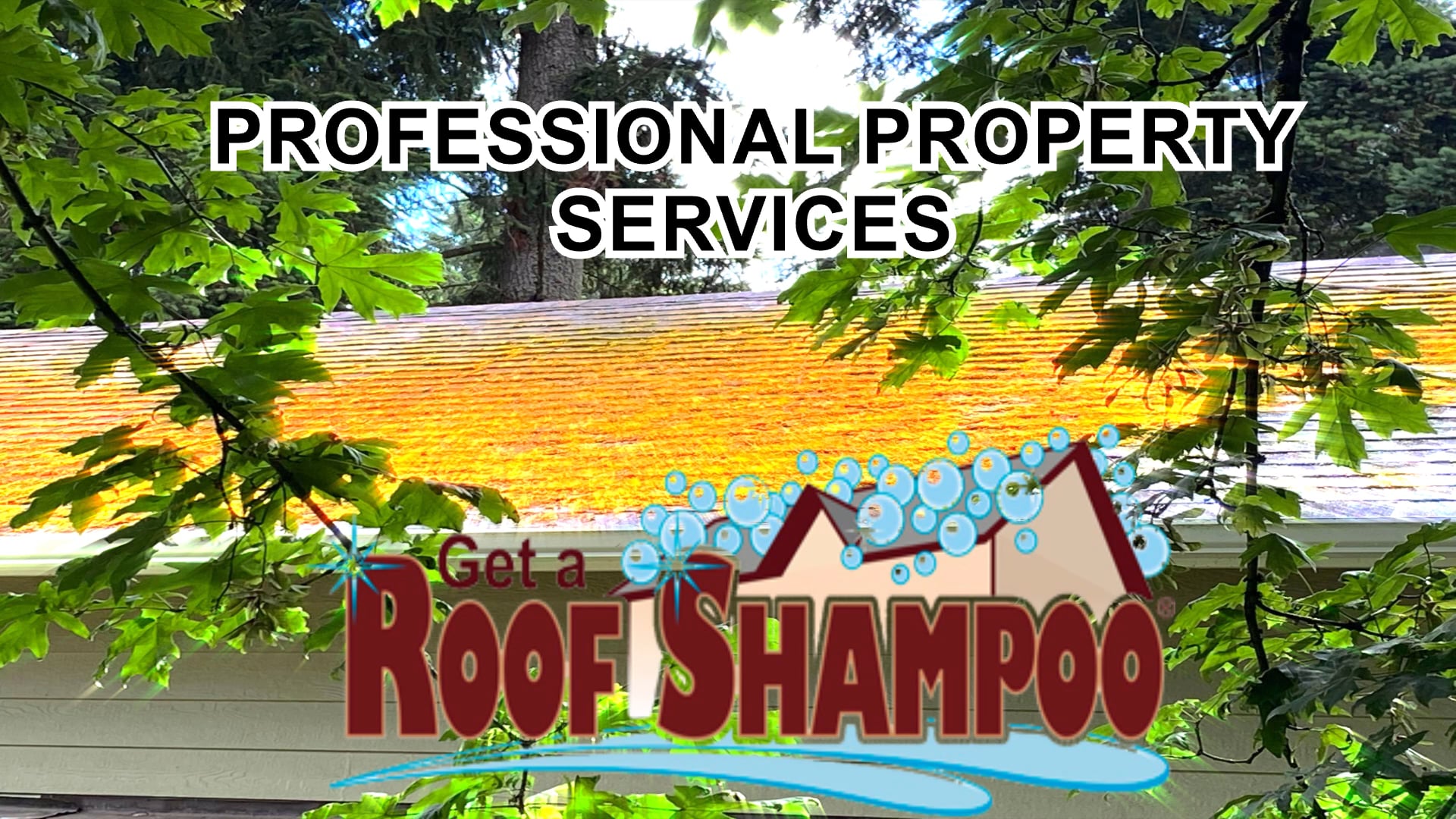 Roof Shampoo® by Professional Property Services on Vimeo