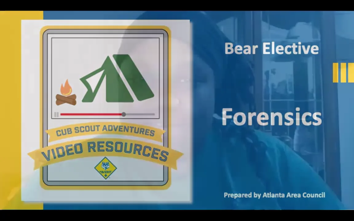 Bear-Elective-Adventure-Forensics