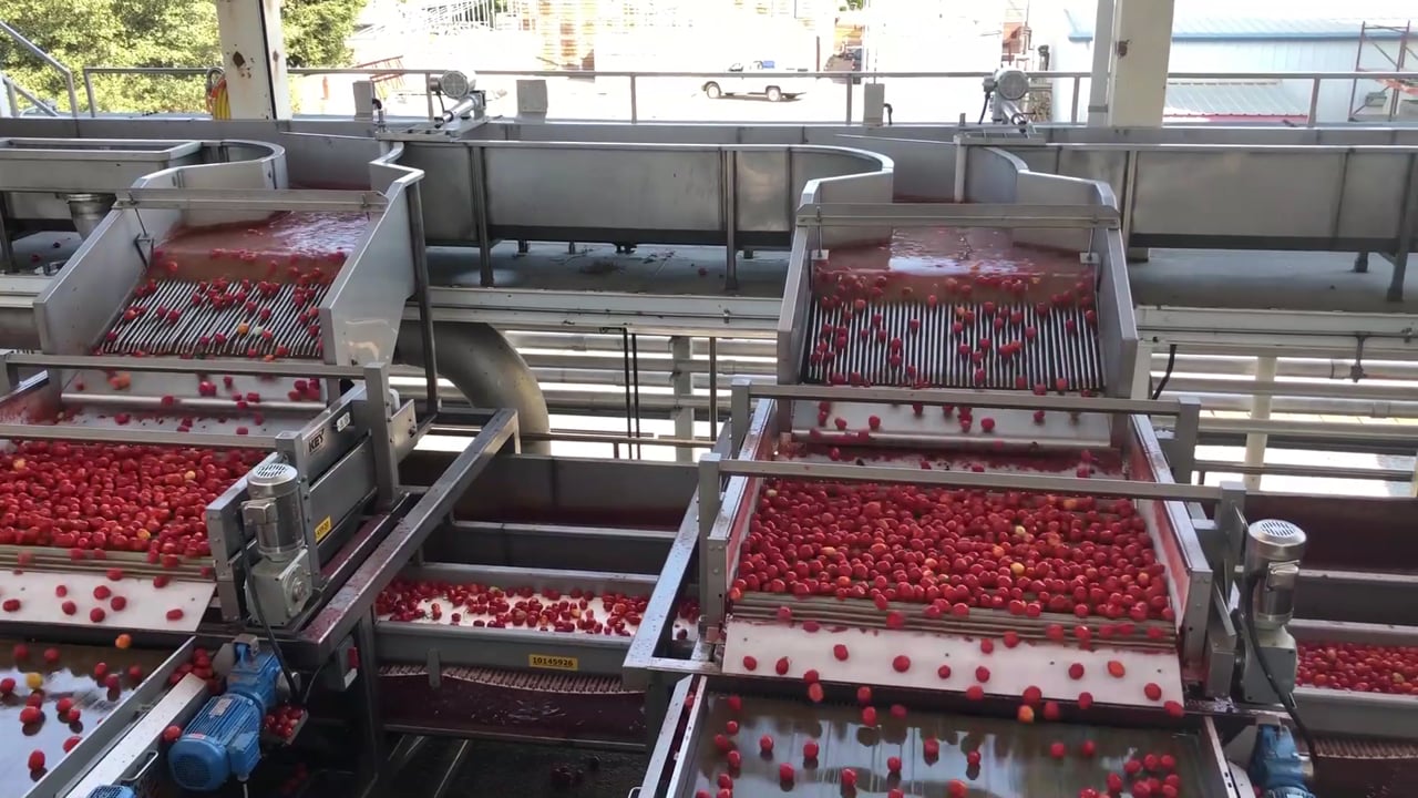 Food Grade Rolling Sizer & Food Safe Roller Grading Machine | Key ...