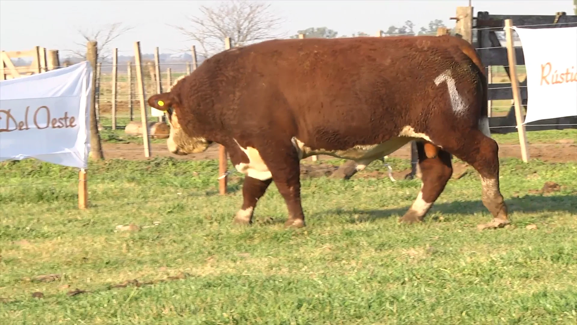 Santa Maria - RP 1517 on Vimeo