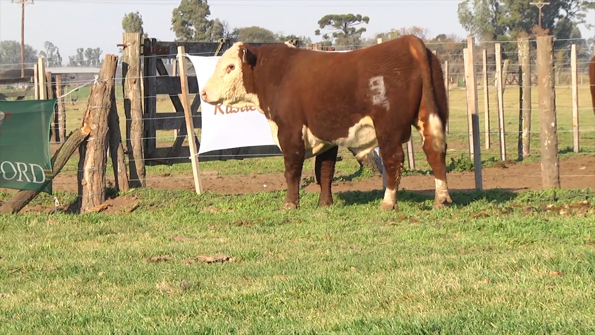 Santa Maria - RP 1535 on Vimeo