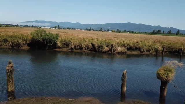 River Oregon Water - Free video on Pixabay