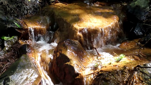Waterfall, Brown, Nature. Free Stock Video - Pixabay
