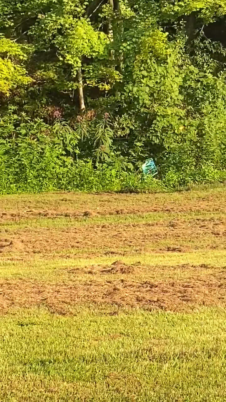 Patrick Hoskins Virtual range day on Vimeo