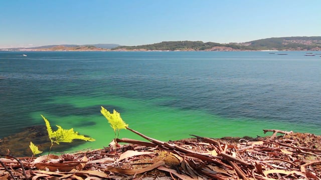 Mer Paradis Turquoise - Free video on Pixabay - Pixabay