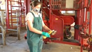 Animal Husbandry Bovine Summer Course 34 hoof Trimming Saw On Vimeo