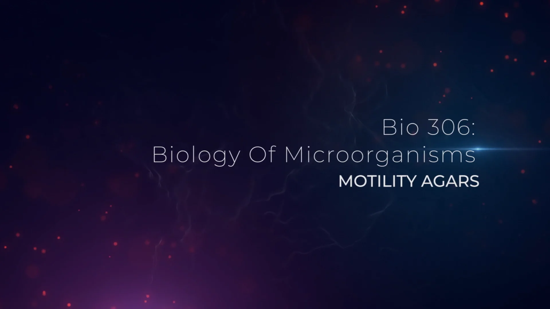 BIO306_MotilityAgars
