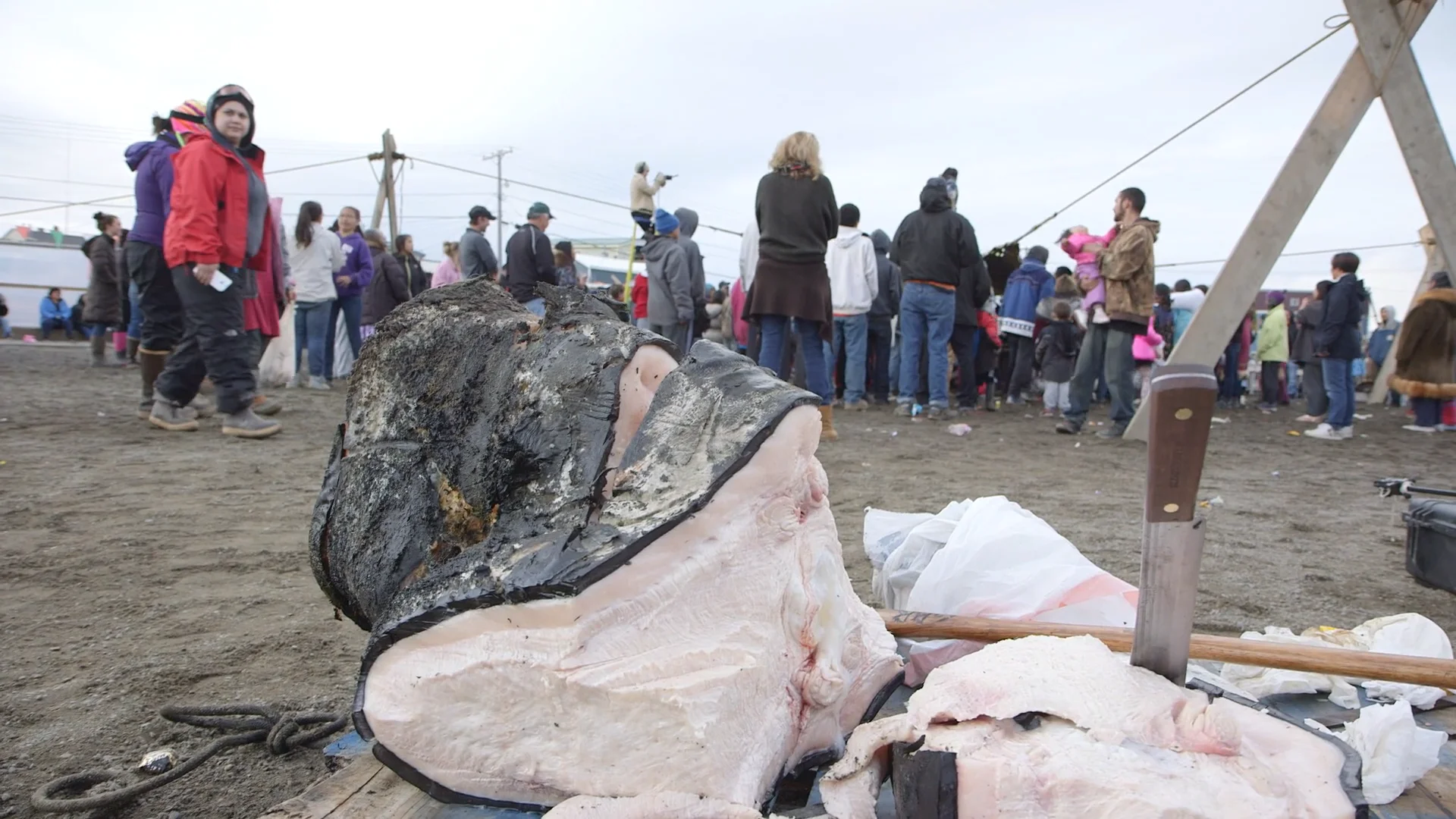 Spring Festival in Barrow, Alaska | ASNA on Vimeo