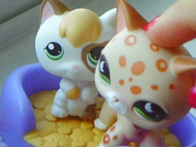 lps csi 1 on Vimeo