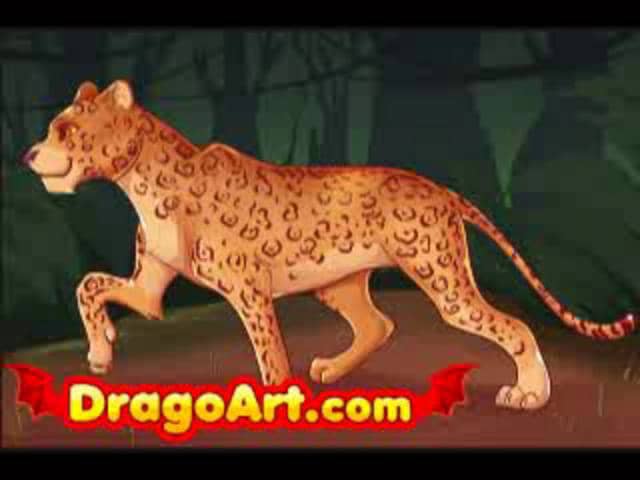 How to draw a cartoon leopard, step by step on Vimeo
