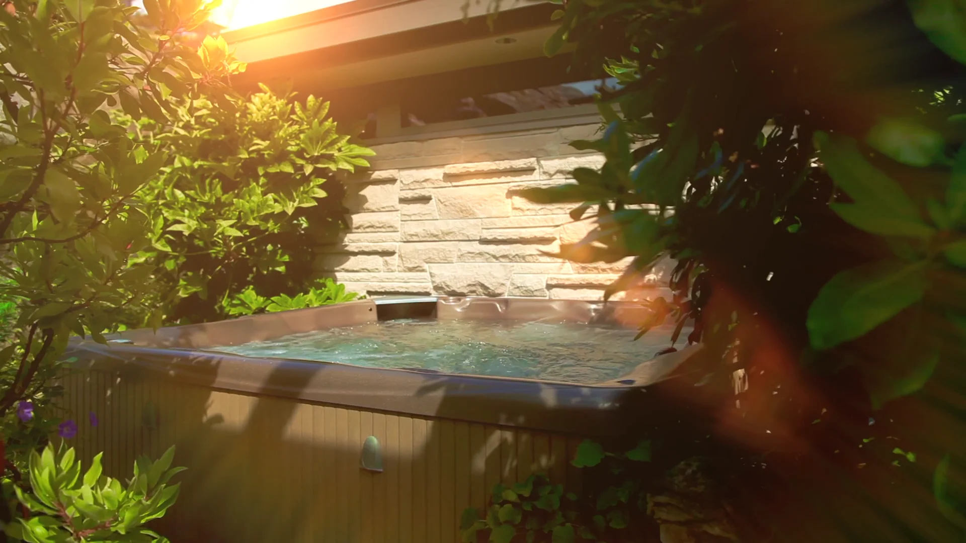 Beachcomber - Profile