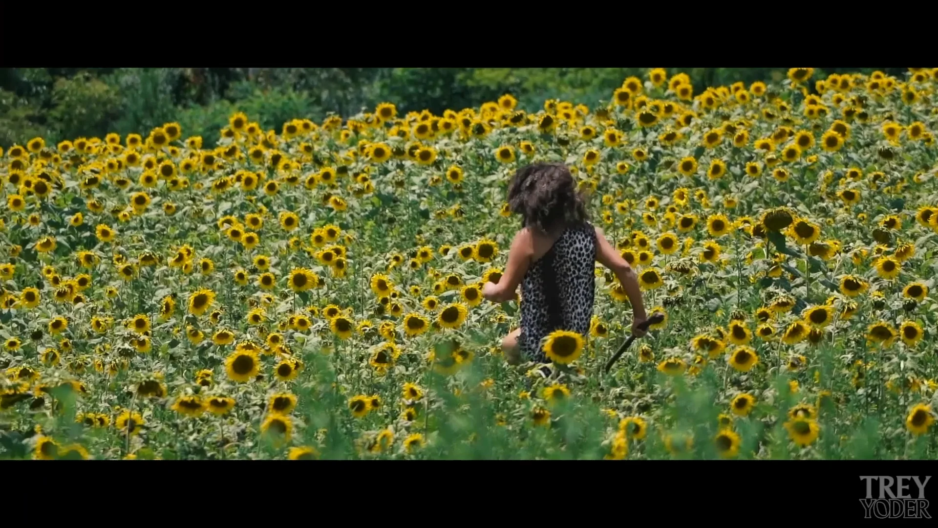 Trey Yoder | Video Reel