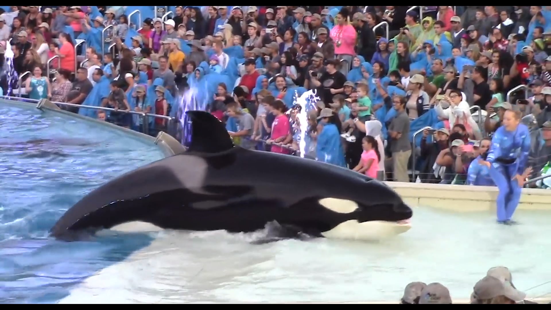 BLACKFISH 2 TRAILER FR on Vimeo
