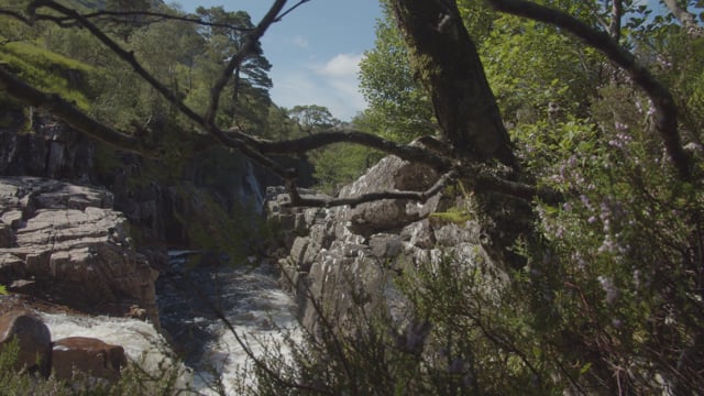 Water Valley River - Free video on Pixabay