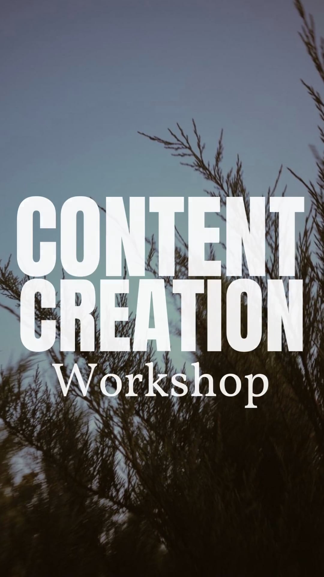 New Collection on Vimeo