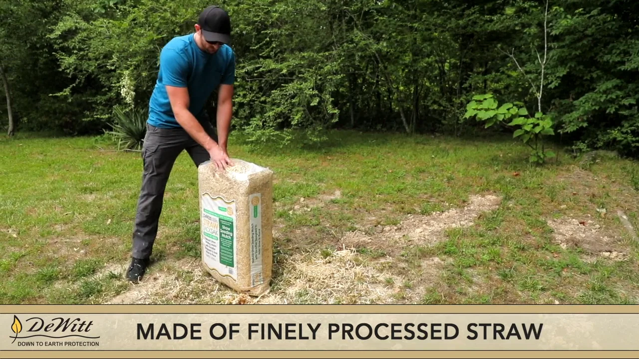 Straw Tack Sak Dewitt - D28 on Vimeo