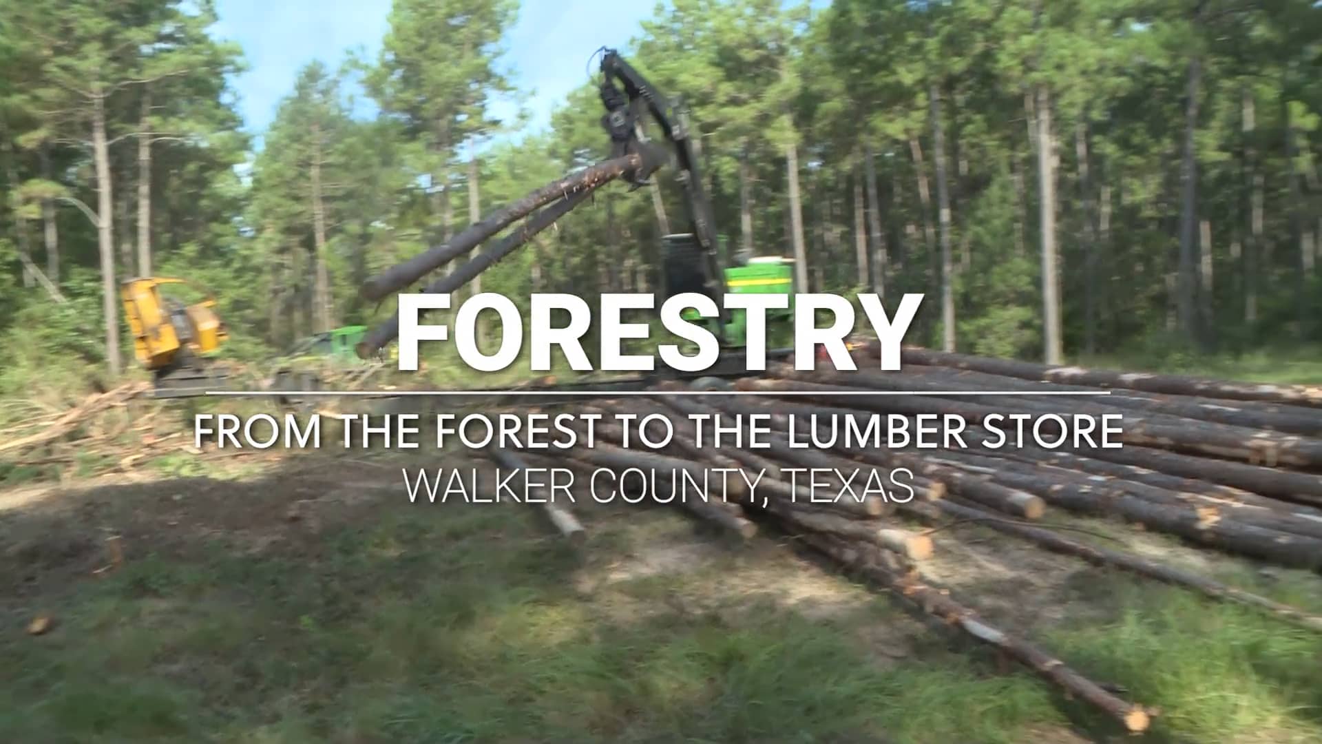 Forestry | Ag in the Classroom on Vimeo