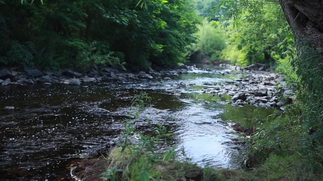 River, Brook, Stream. Free Stock Video - Pixabay