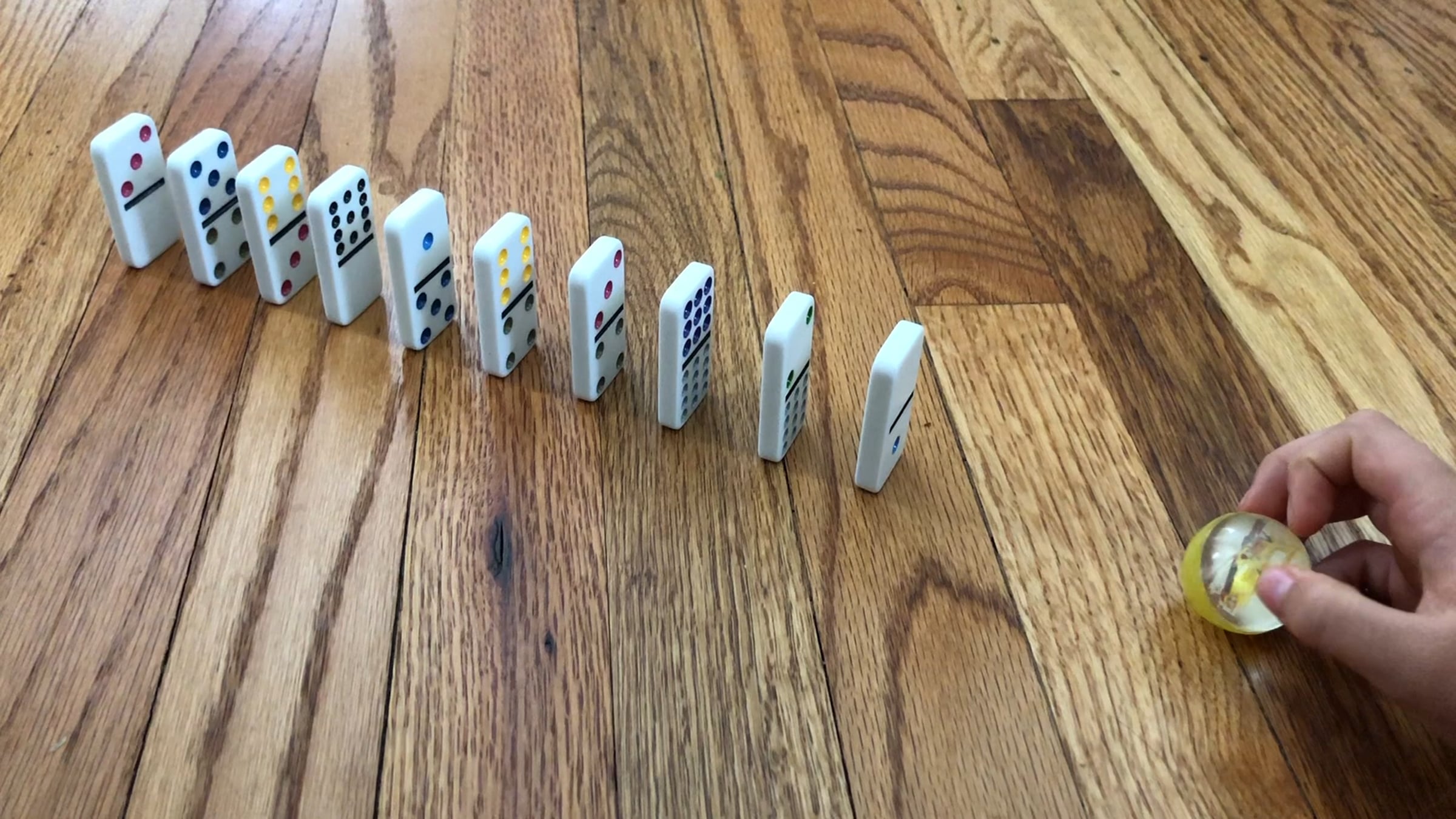 Building a Simple System (M8: Ecosystems)