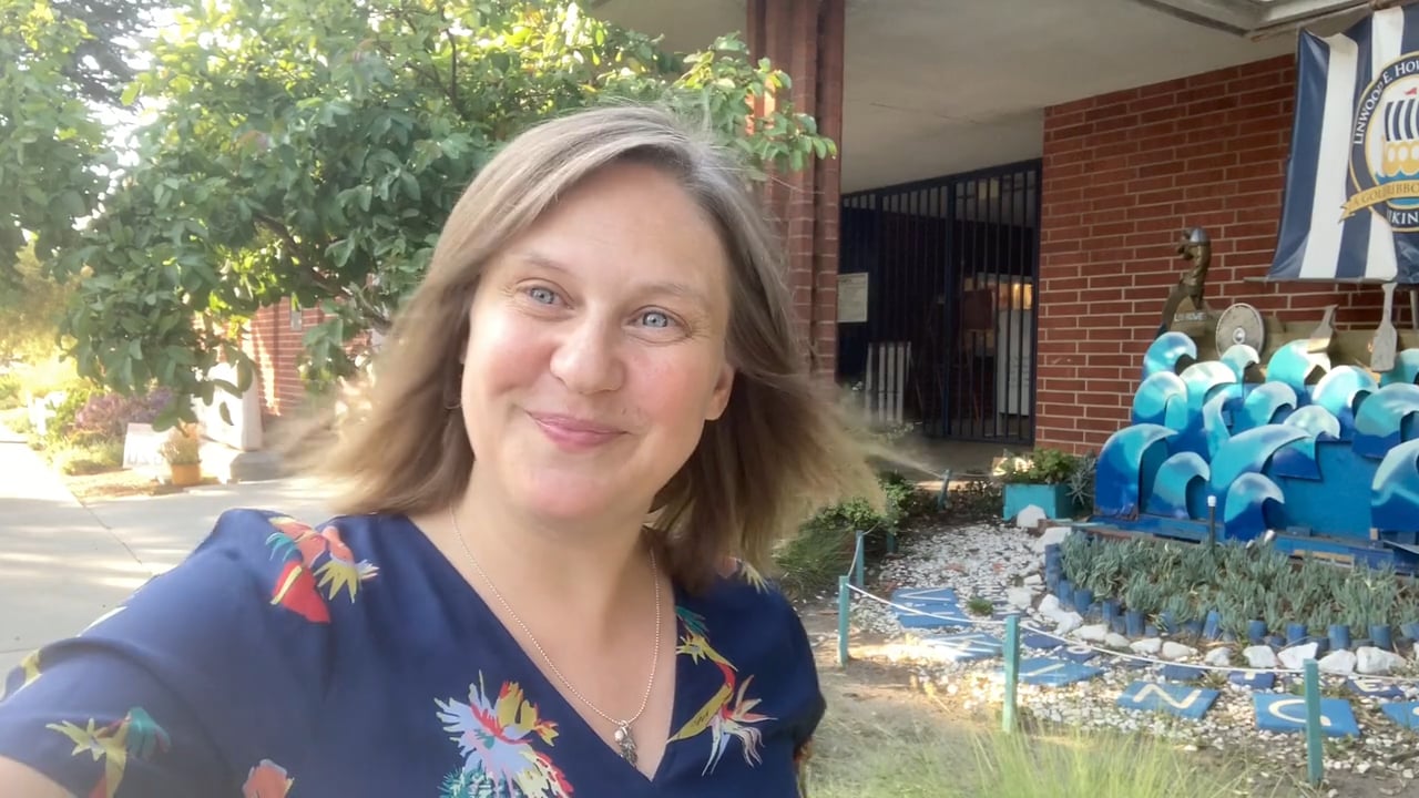 The Lin Howe Welcome Trees on Vimeo