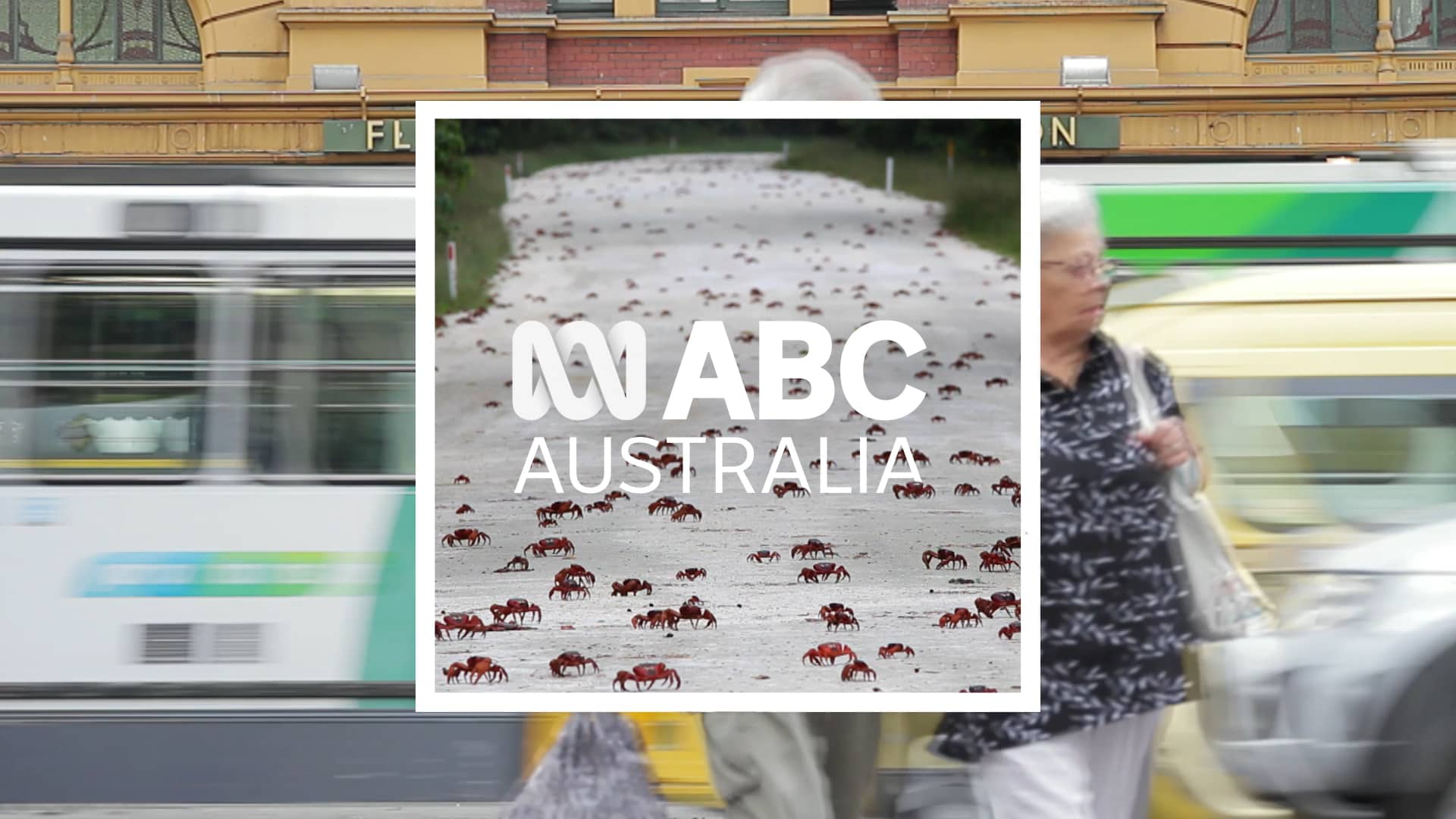 ABC Australia Ident: Crabs on Vimeo