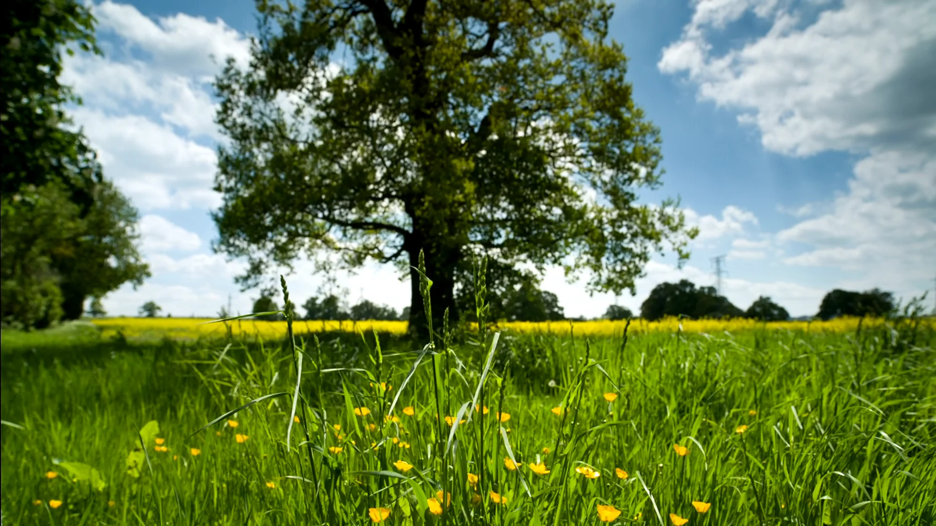 Lovely Mature on Vimeo