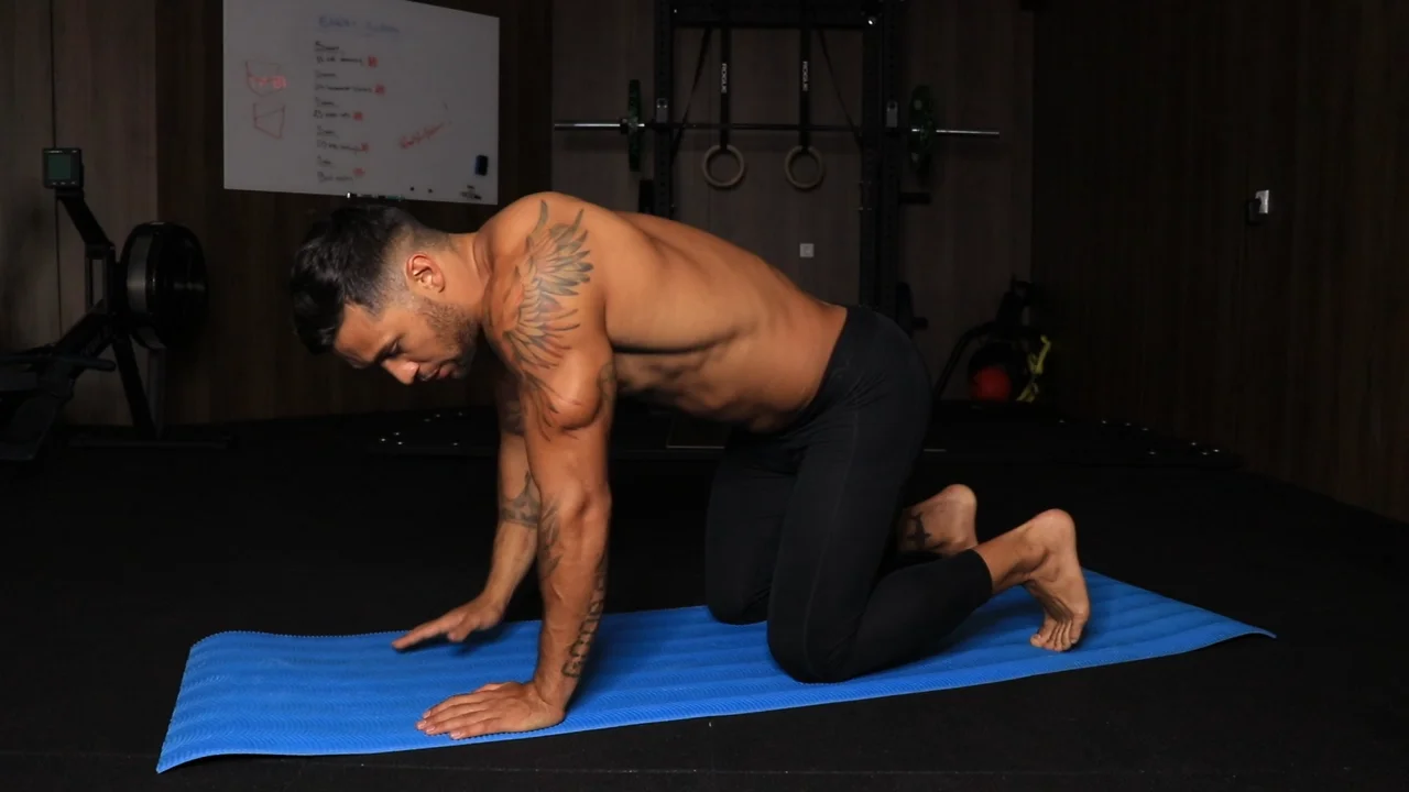 Bear crawl shoulder tap