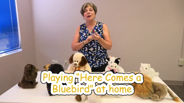 Here Comes a Bluebird | MusicplayOnline